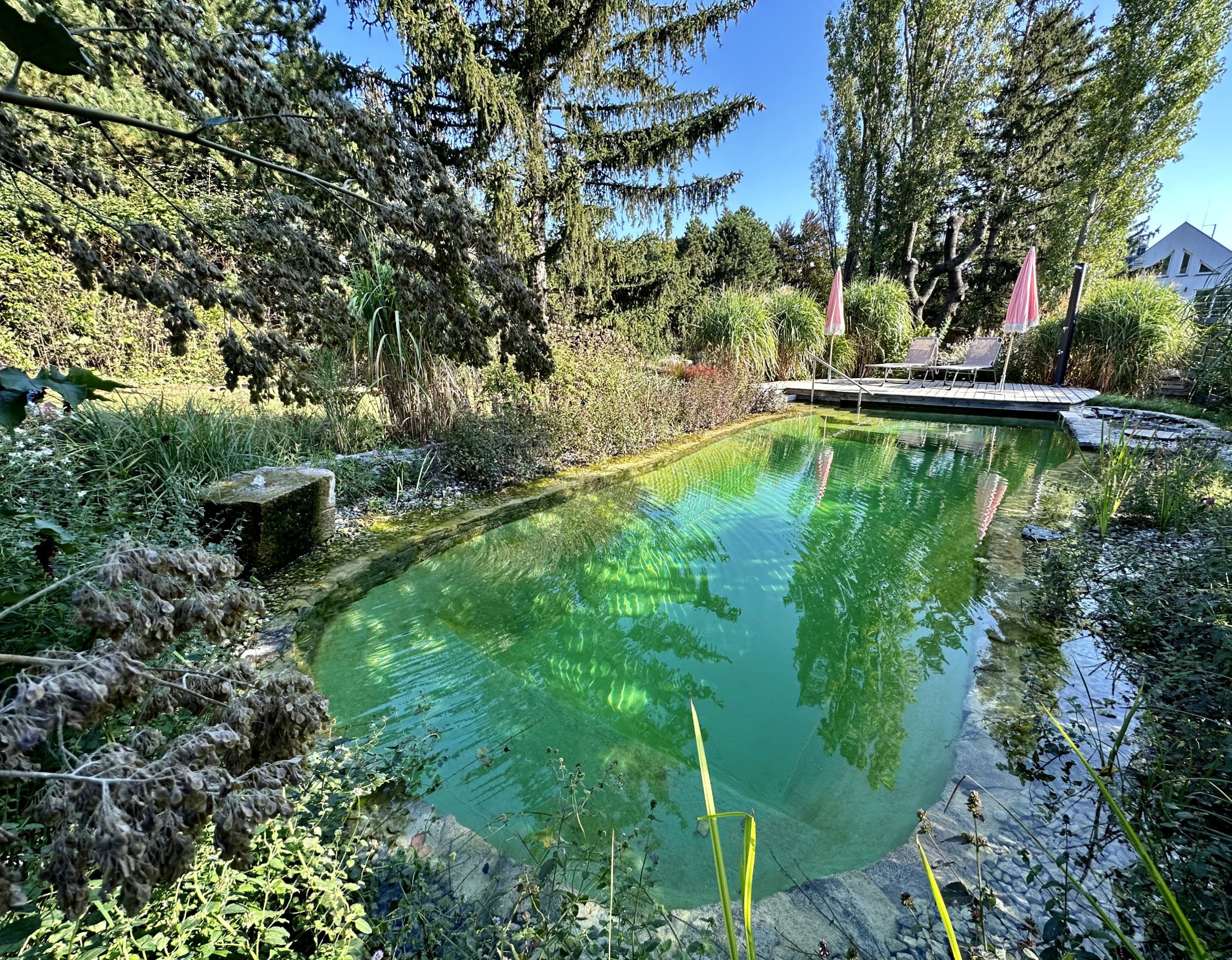 Natural Pool Garden - Andrea Vytlacil Garden Design
